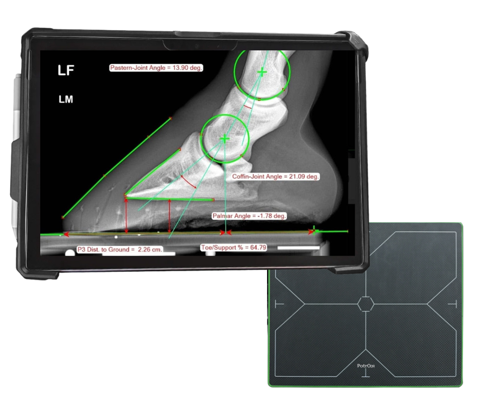 Metron-DVM bundle kit + touchscreen PC: Your equine X-rays analyzed in ...